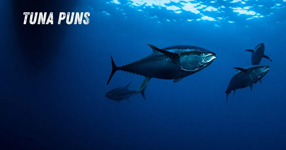 352+Tuna Puns Guaranteed to Make You Smile Gill-to-Gill