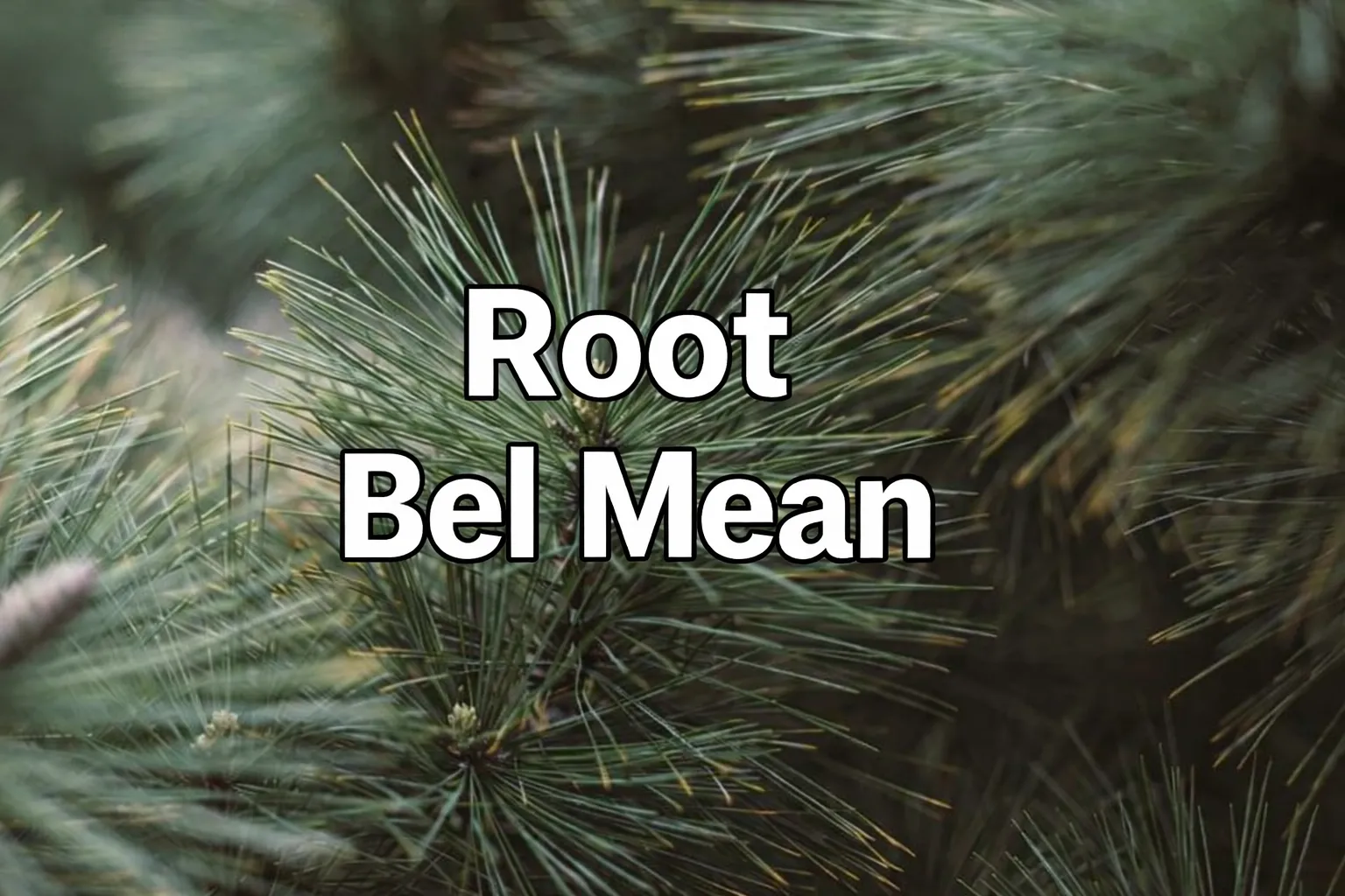 893+Root Bel Mean in Linguistics and Word Formation